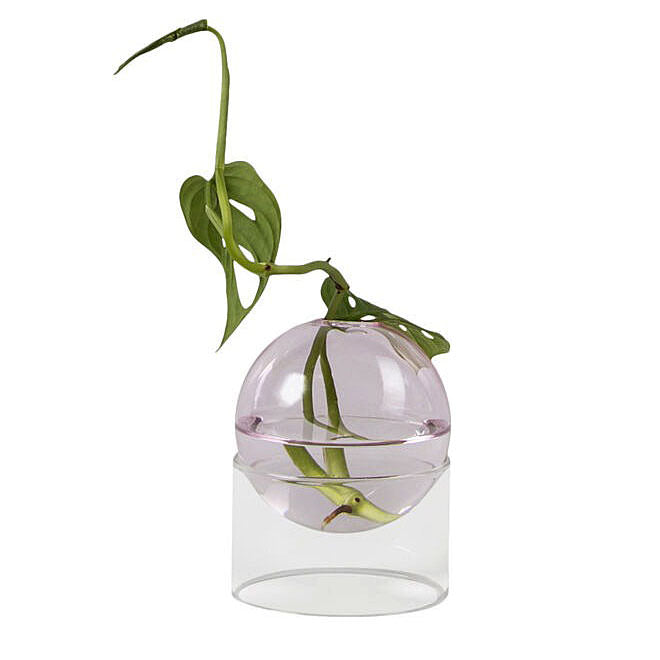 Mini Spherical Glass Vase – OBEEY